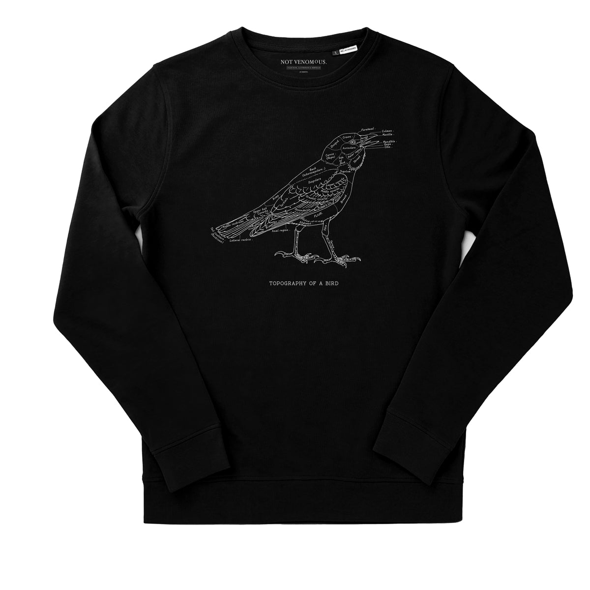 Topography of a Bird (Pull crew neck unisexe) – Not Venomous
